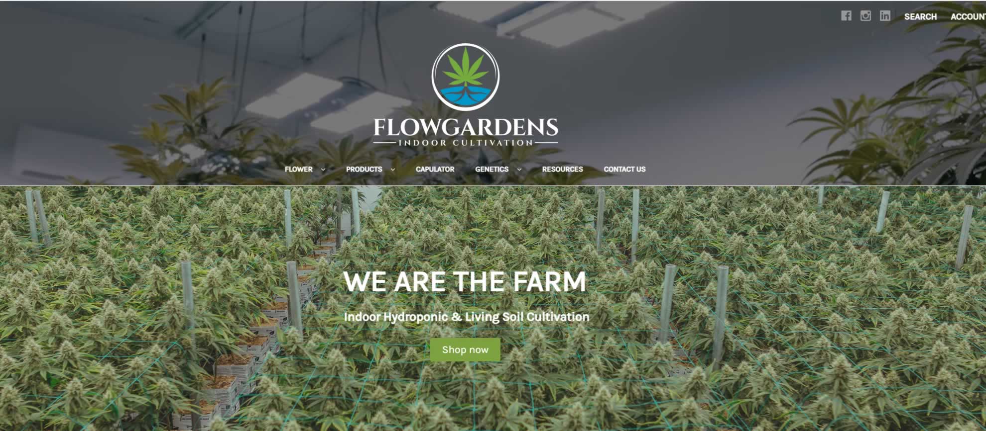Flow Gardens Review - Is Flow Gardens Legit? | THCA Vendors