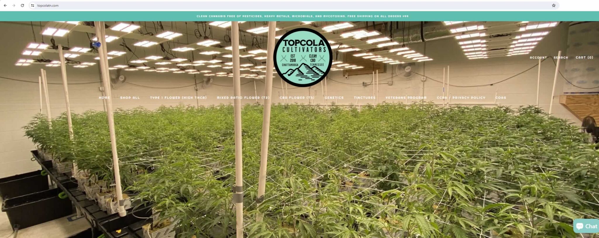 Top Cola Hemp Review - My Top Cola Cultivators (TCC) Experience | THCA ...